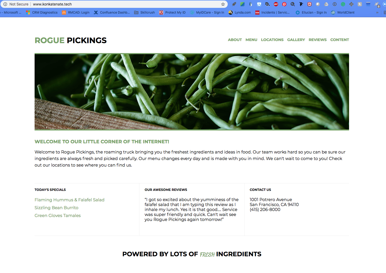 Rogue Pickings – Kat Lehman